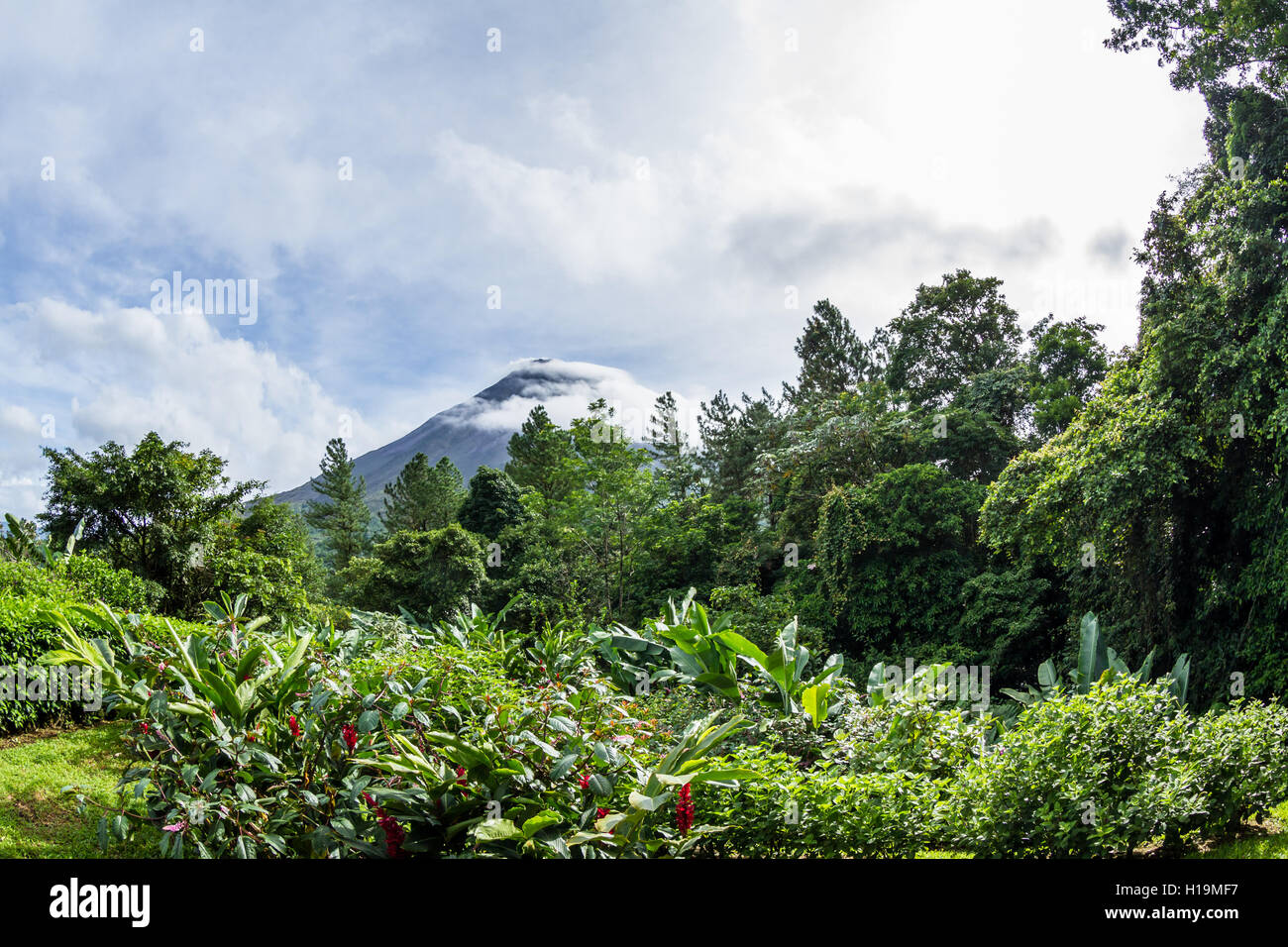 Perfect volcano shape hi-res stock photography and images - Alamy