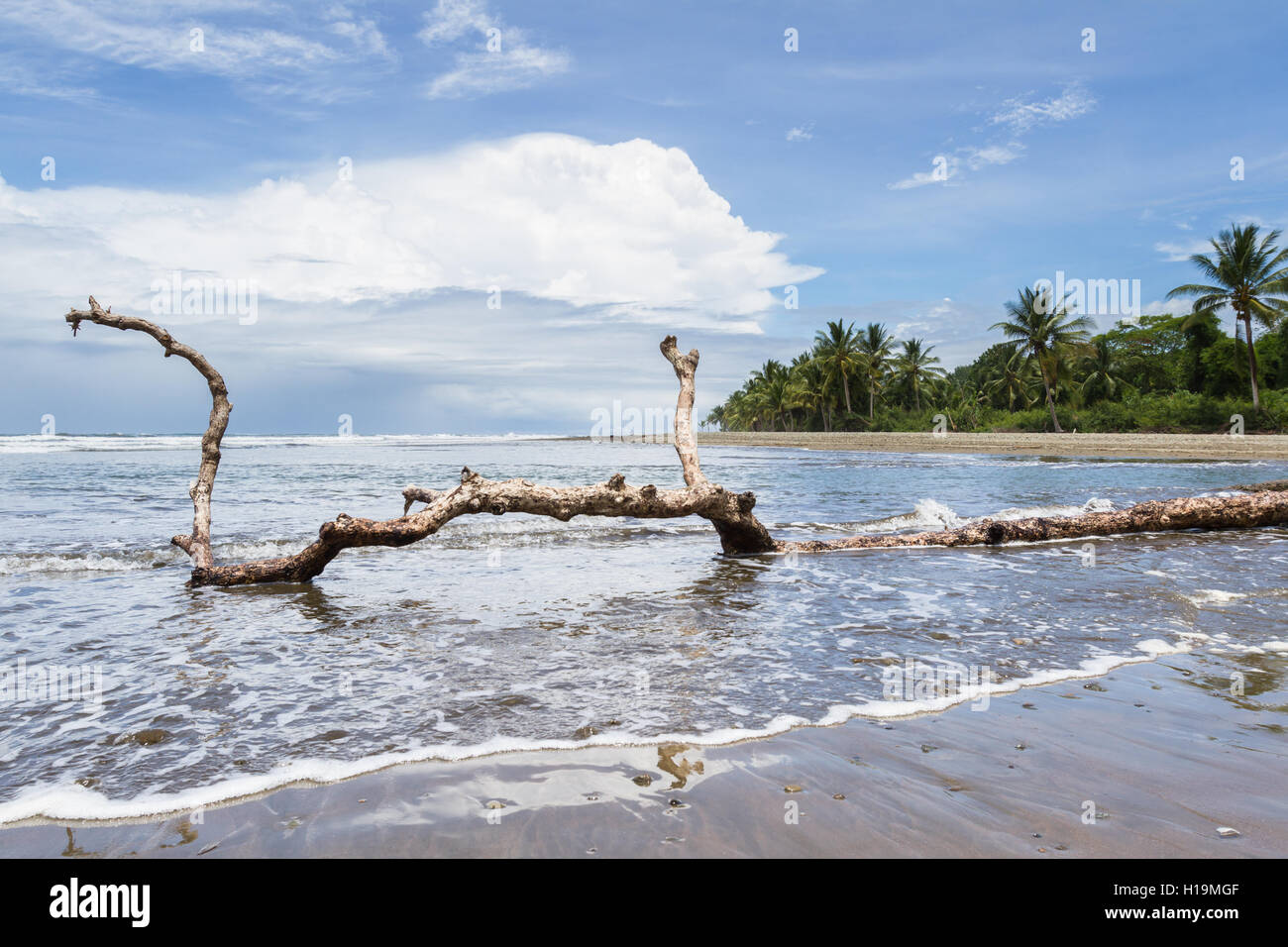 relaxing beach in the Costa Rican south pacific Stock Photo - Alamy