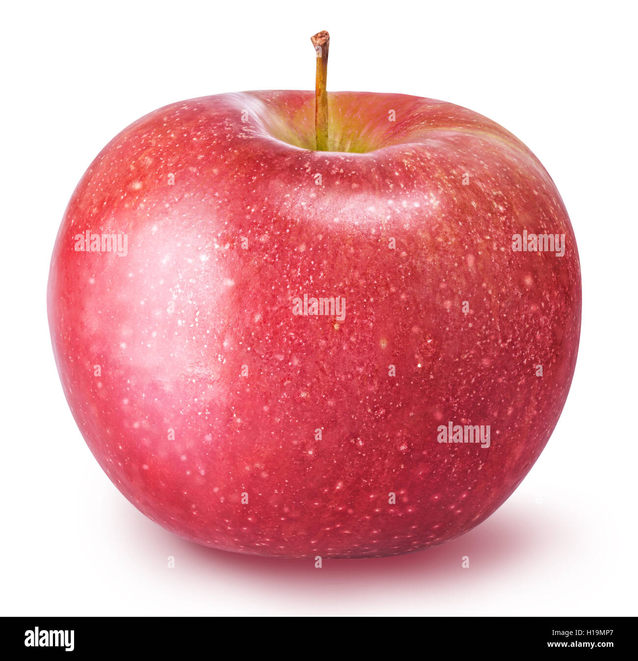 one red apple isolated on white background clipping path Stock Photo ...
