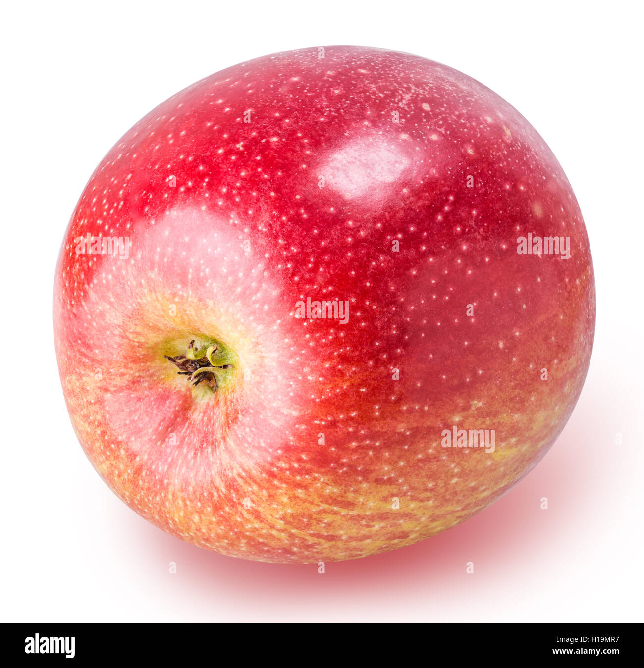 one red apple isolated on white background clipping path Stock Photo ...