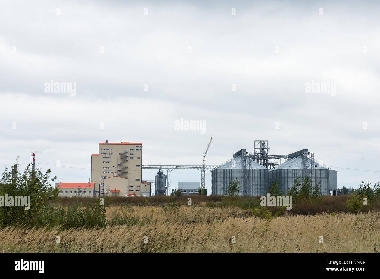 Flour Mill Plant High Resolution Stock Photography and Images - Alamy