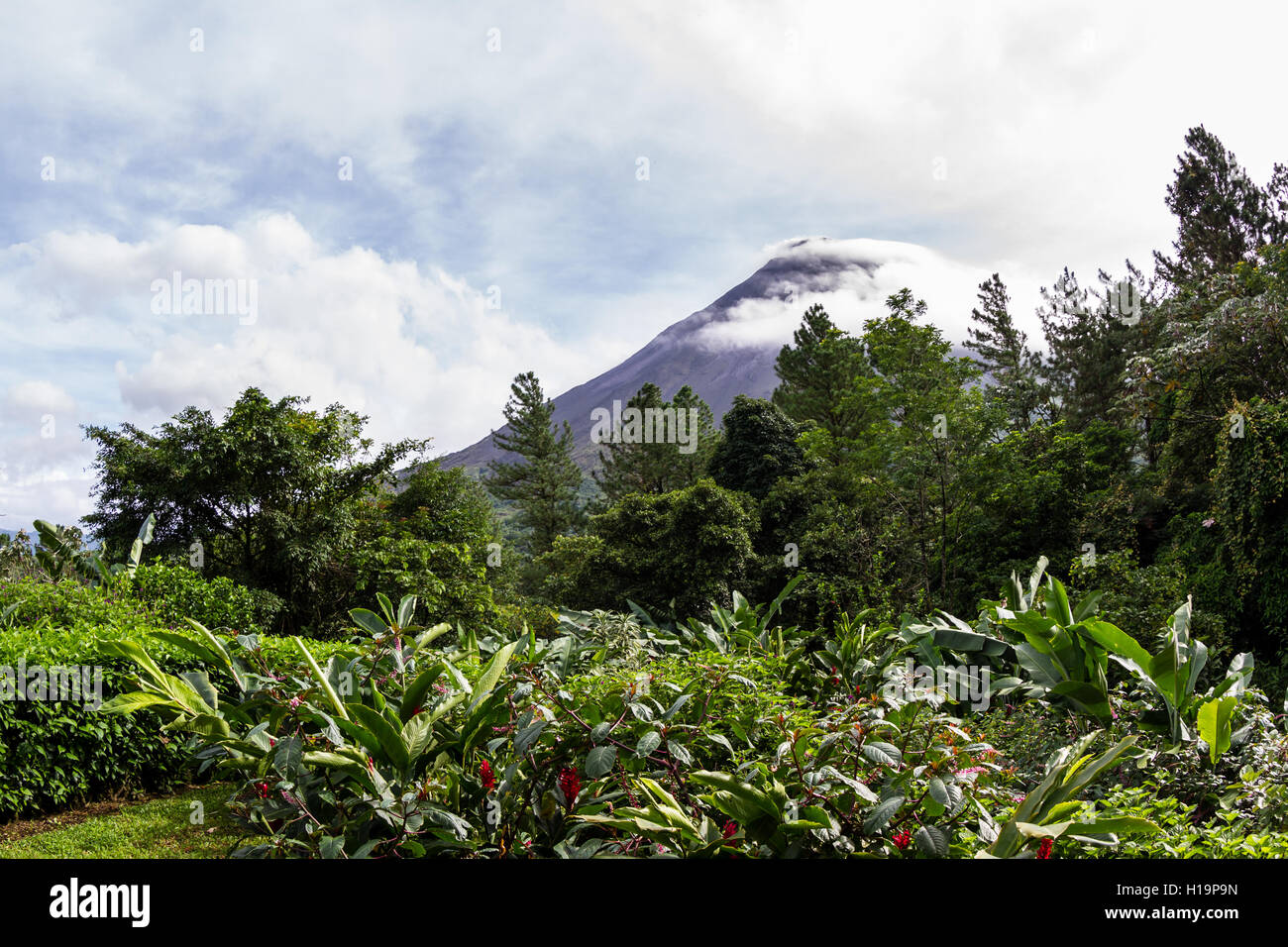 beautiful view of this cone shape volcano with perfect cone shape and ...