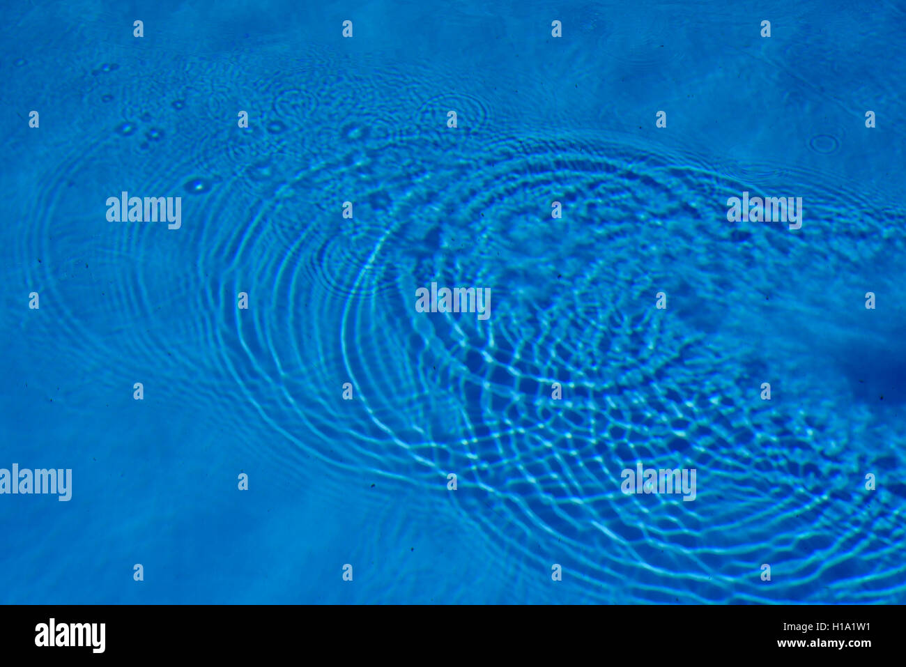 Blue water ripples of a swimming pool. The water drops cause tiny waves ...