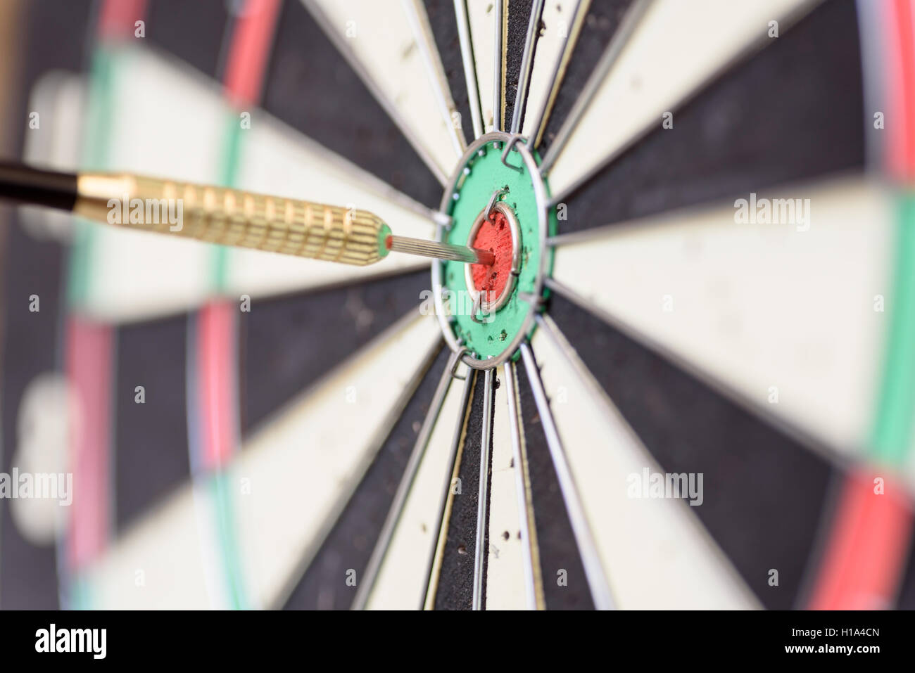 50 board hi-res stock photography and images - Alamy