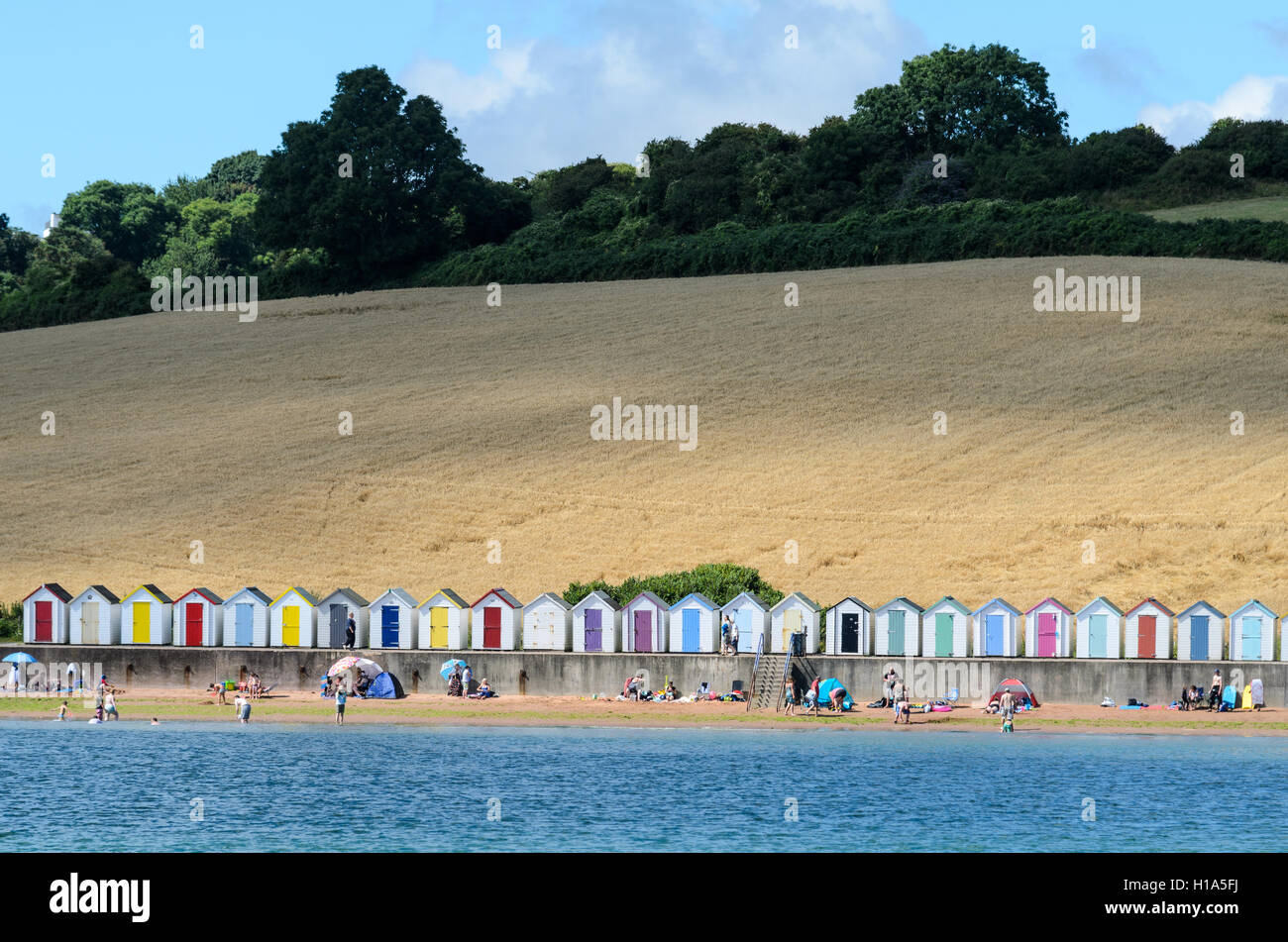 Beach Huts lining a beach in Torbay, Devon Stock Photo - Alamy