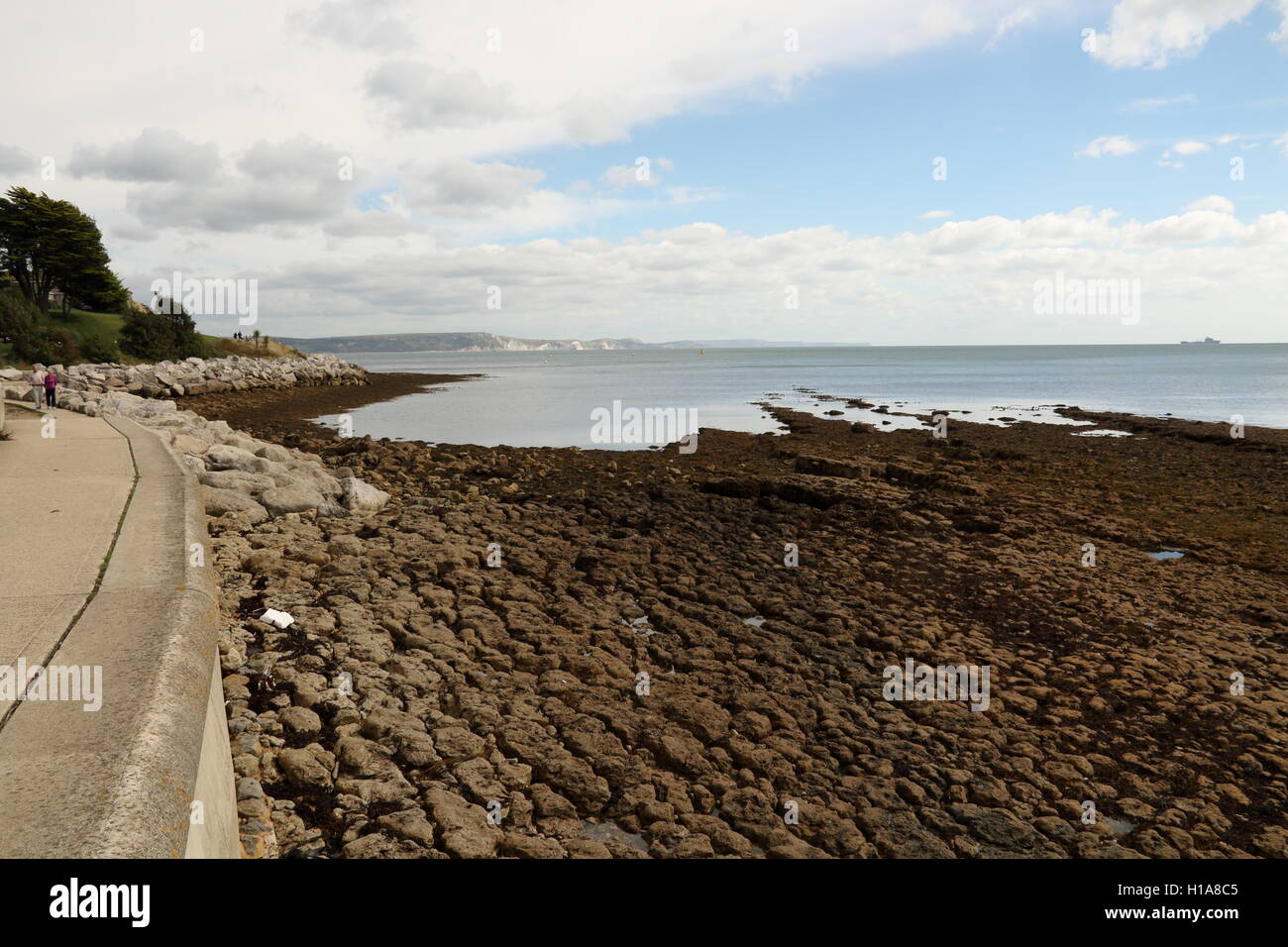 Newtons cove hi-res stock photography and images - Alamy