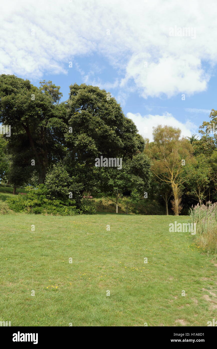Nothe gardens weymouth hi-res stock photography and images - Alamy