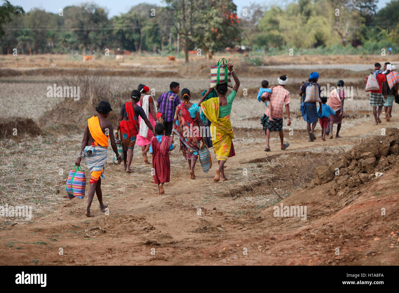 People going back to village, Muria Tribe, Benur Village, Chattisgarh ...