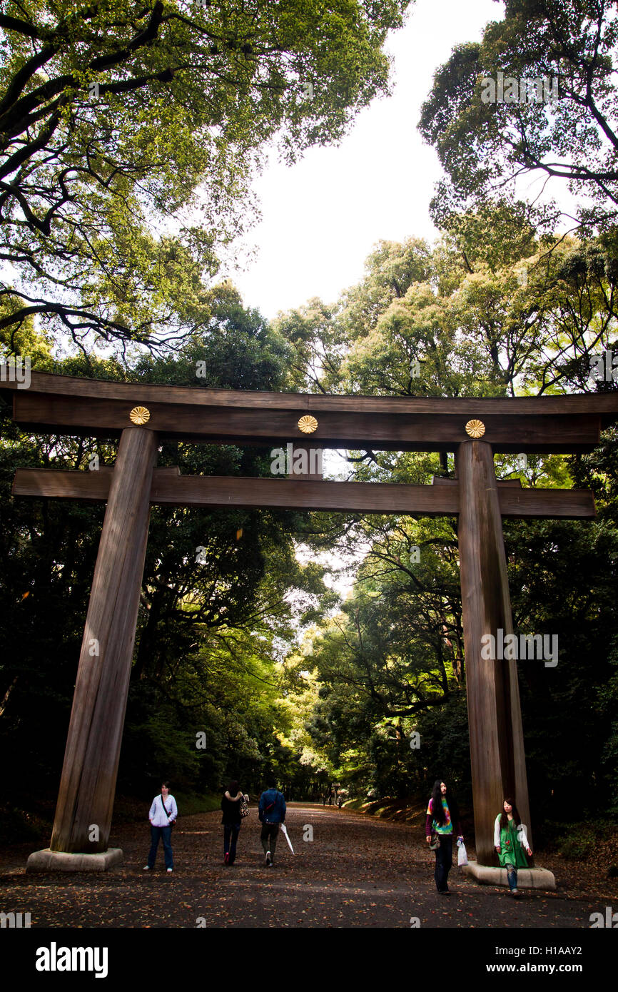 A large wooden gate at the Meiji Shrine in Tokyo, Japan Stock Photo - Alamy