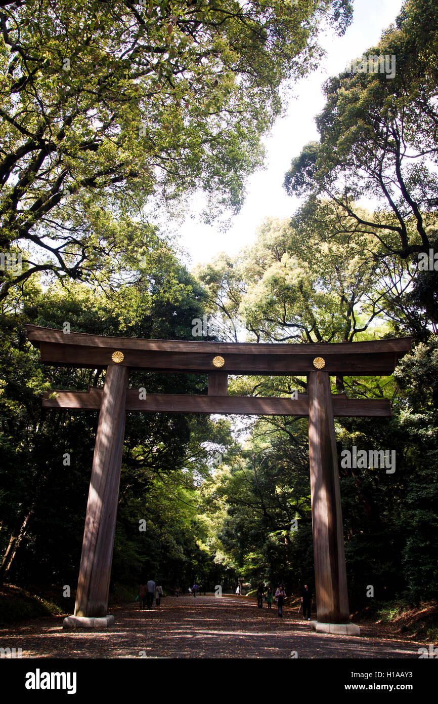 A large wooden gate at the Meiji Shrine in Tokyo, Japan Stock Photo - Alamy