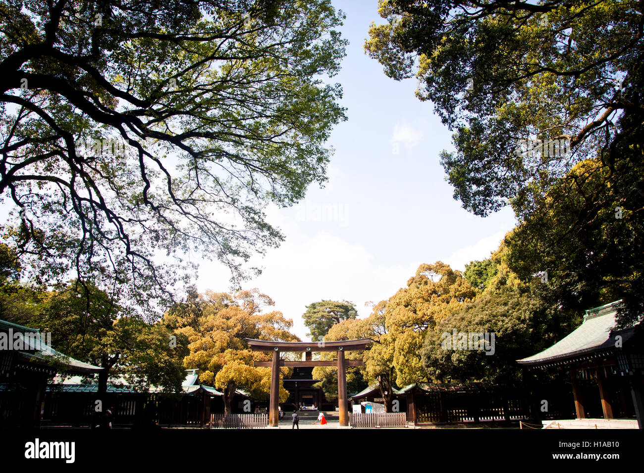 The grounds of the Meiji Shrine in Tokyo, Japan Stock Photo - Alamy