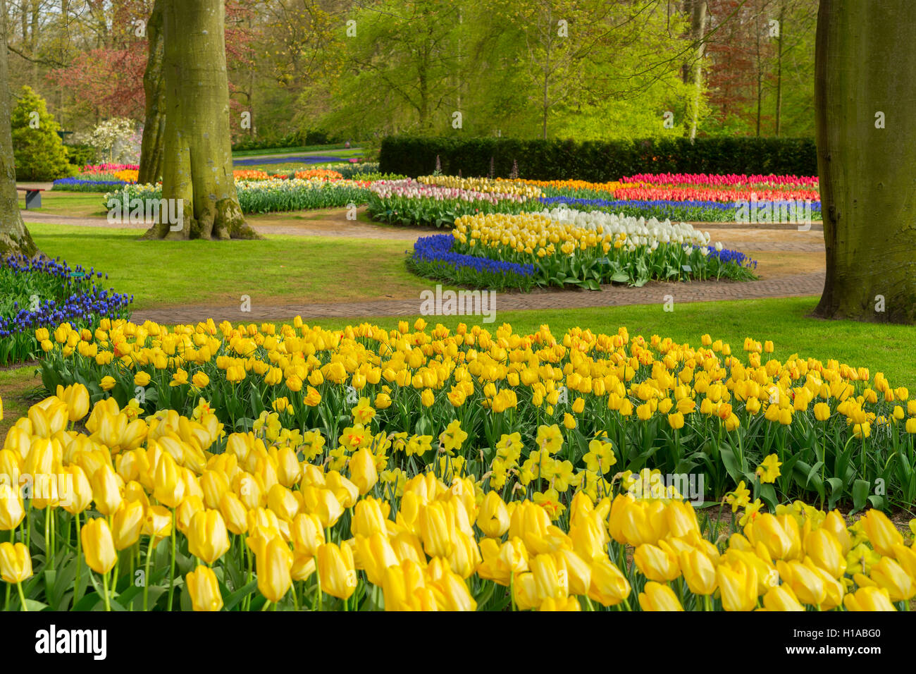 Formal spring garden Stock Photo - Alamy