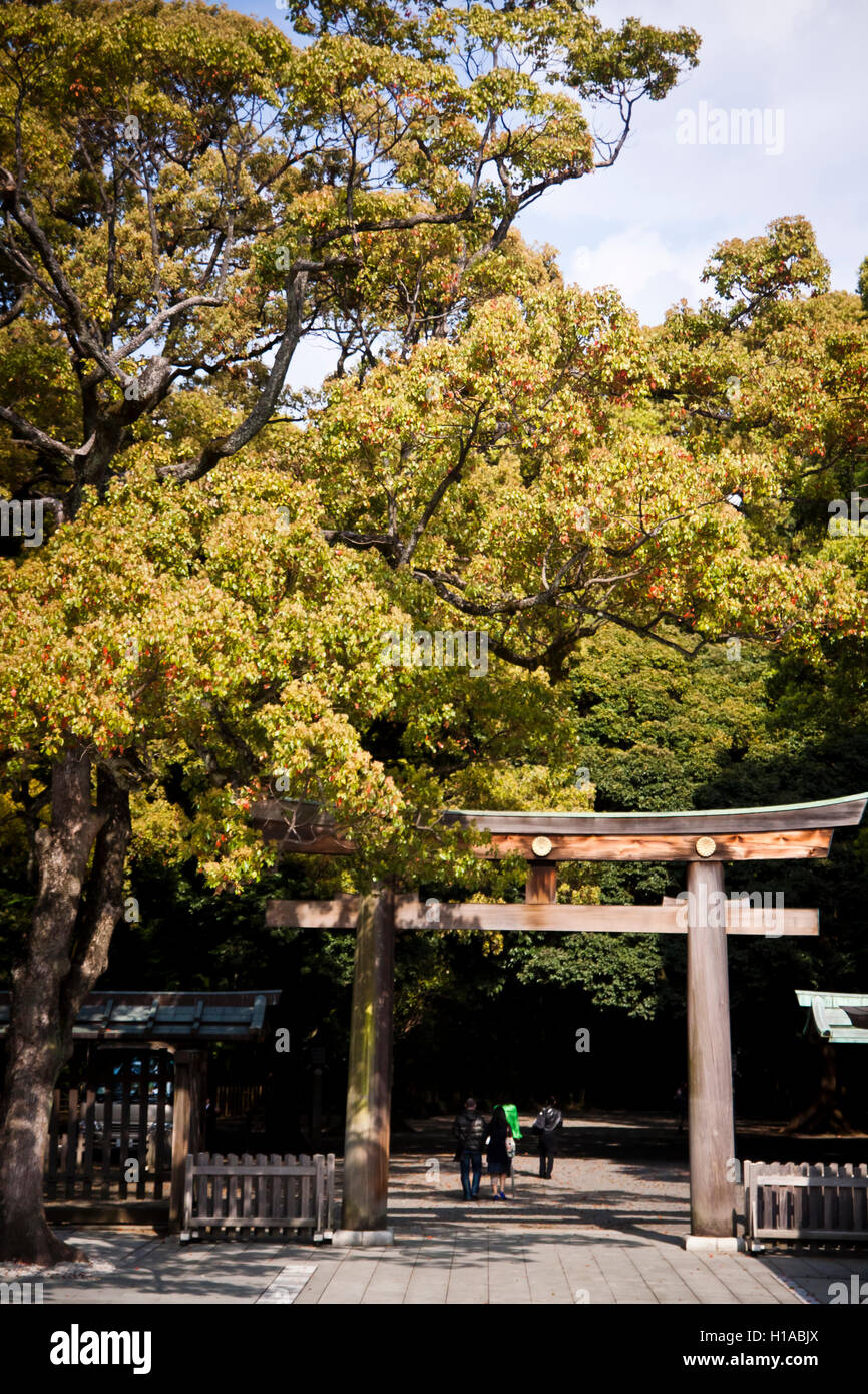 Meiji shrine walk hi-res stock photography and images - Alamy