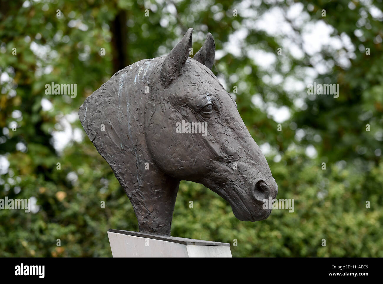 Bronze horse head germany hi-res stock photography and images - Alamy