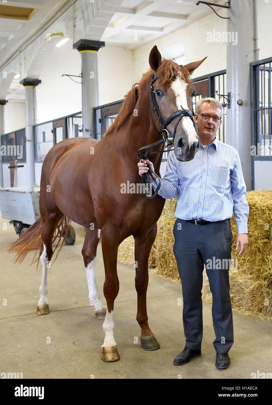 Stableman hi-res stock photography and images - Alamy