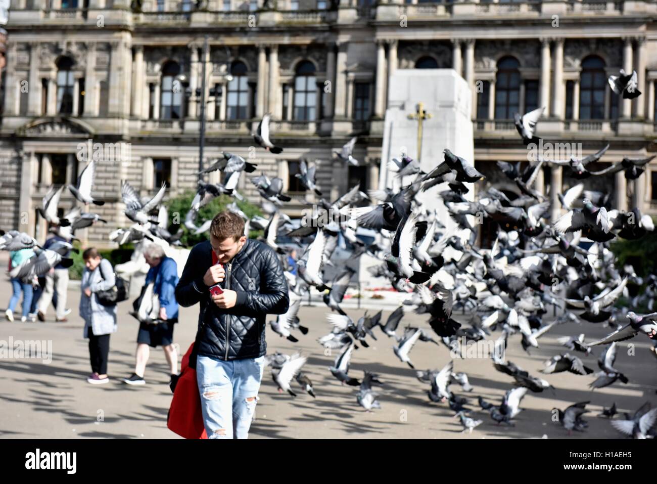 Flying pigeons in city centre hi-res stock photography and images - Alamy
