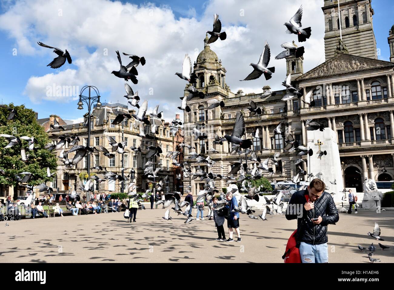 Flying pigeons and skies hi-res stock photography and images - Alamy