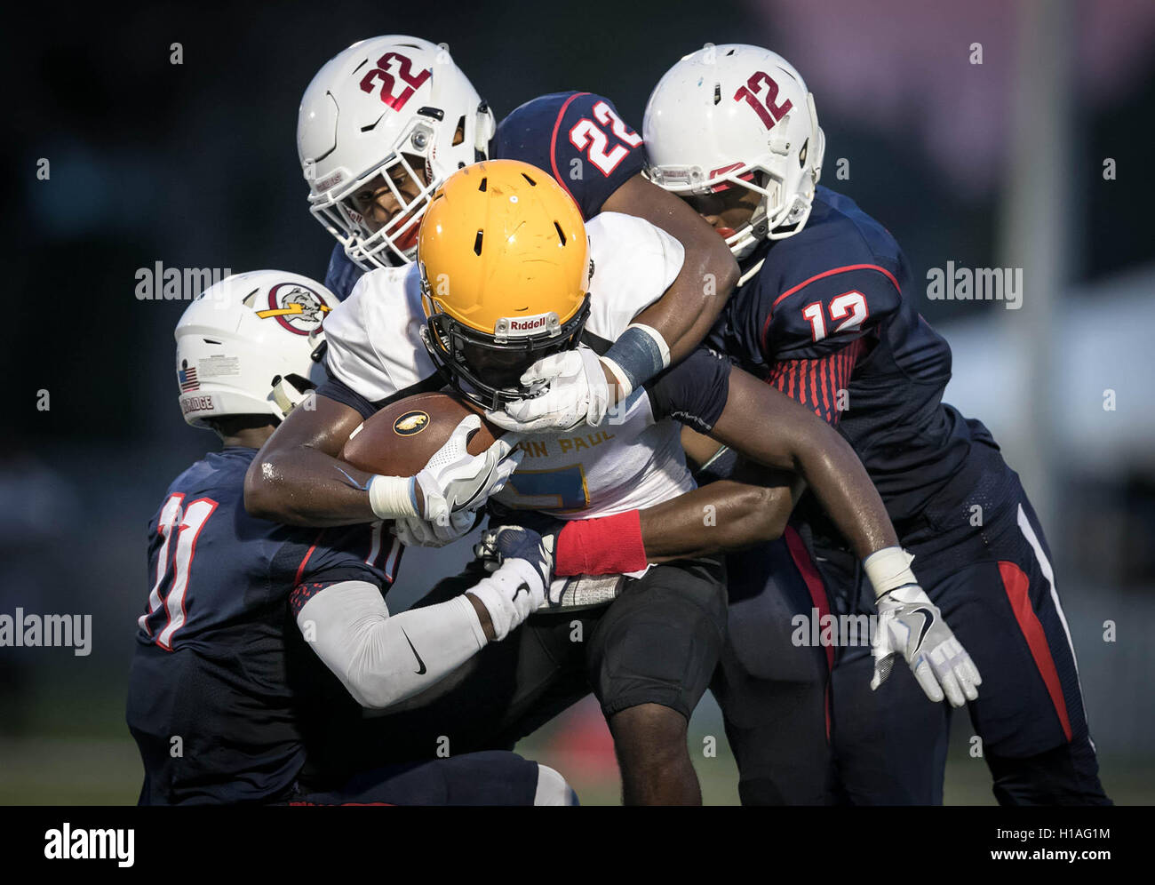 Oxbridge academy florida hi-res stock photography and images - Alamy