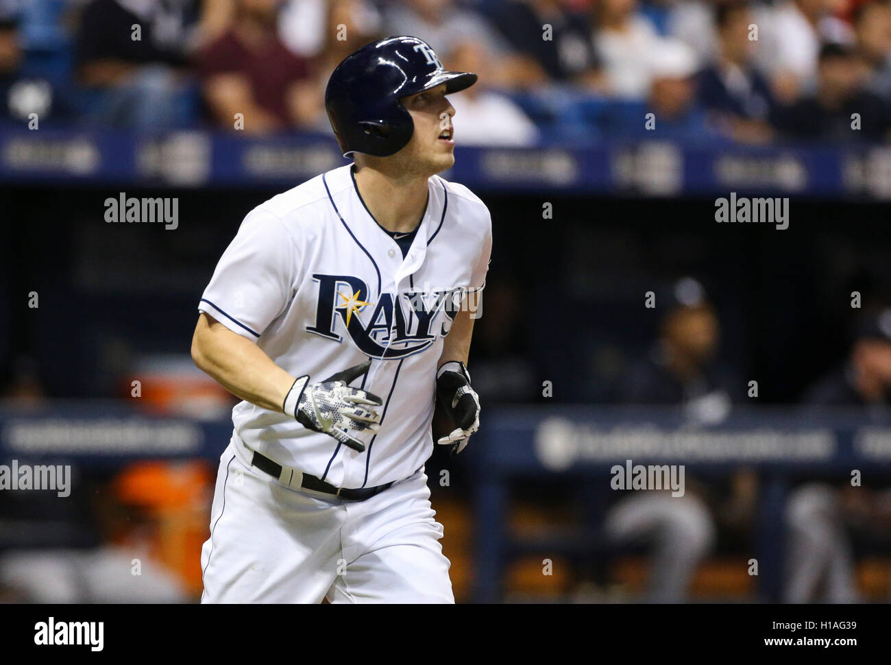 St. Petersburg, Florida, USA. 22nd Sep, 2016. WILL VRAGOVIC | Times ...