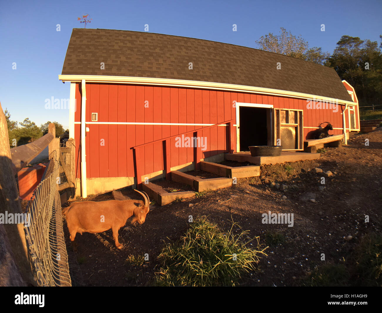 Norman levy park and preserve hi-res stock photography and images - Alamy