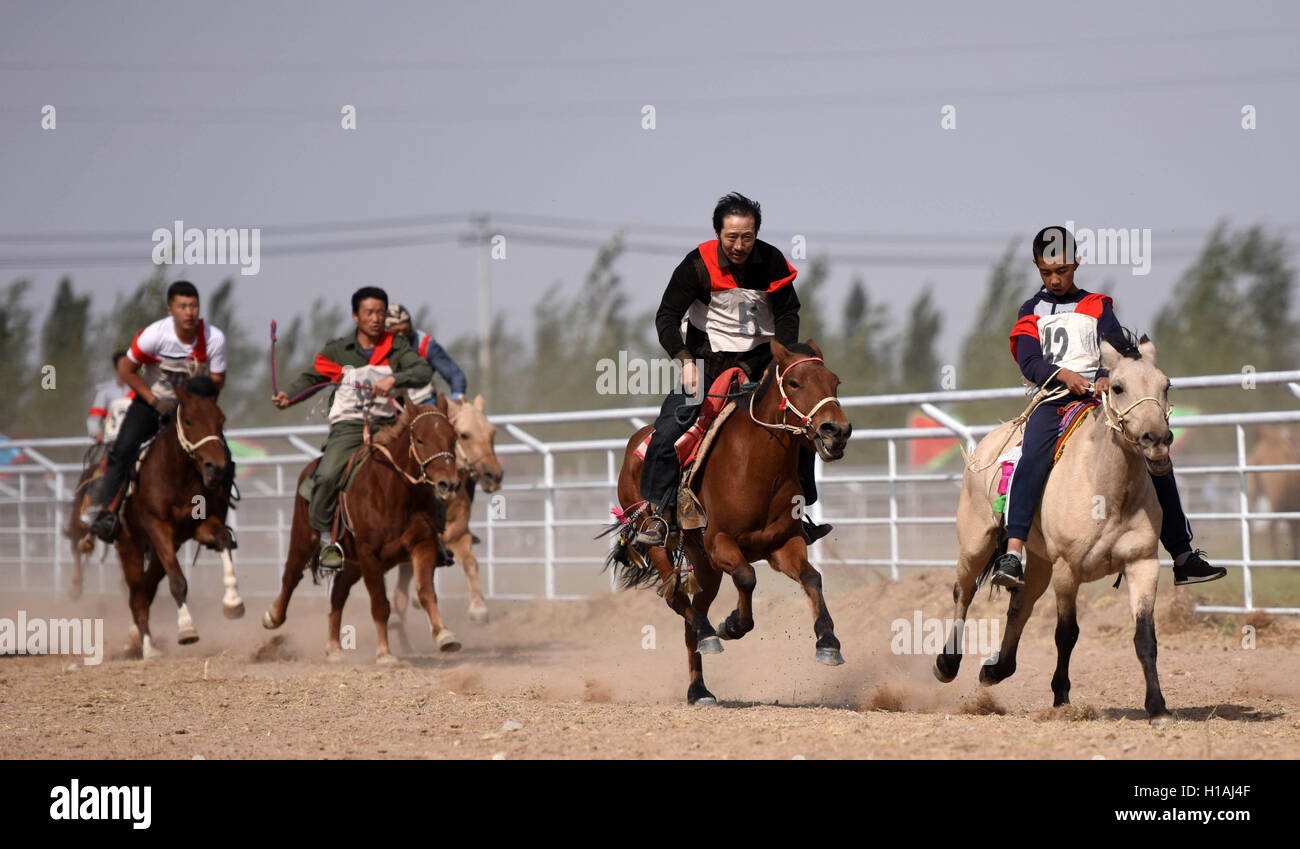 Horse boxing hi-res stock photography and images - Alamy