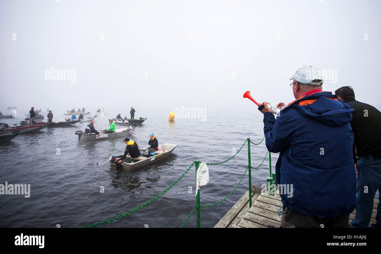 Focused on fish hi-res stock photography and images - Alamy