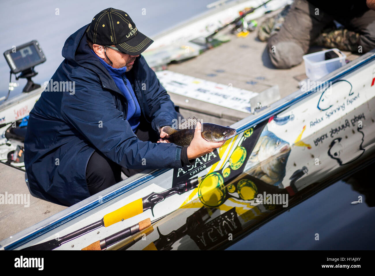 Focused on fish hi-res stock photography and images - Alamy