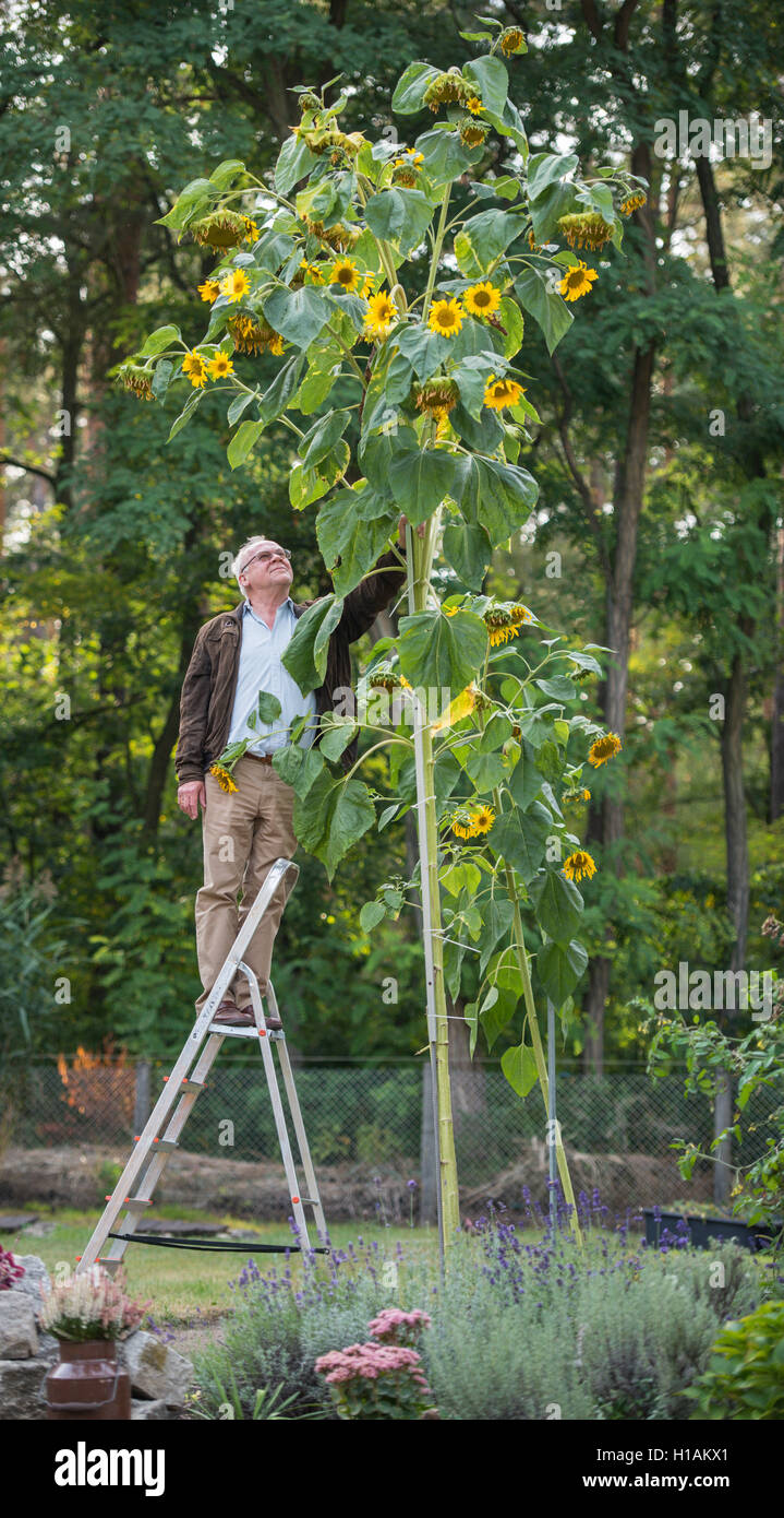 Briesen, Germany. 22nd Sep, 2016. Eberhard Langheim presenting his 4.56 ...