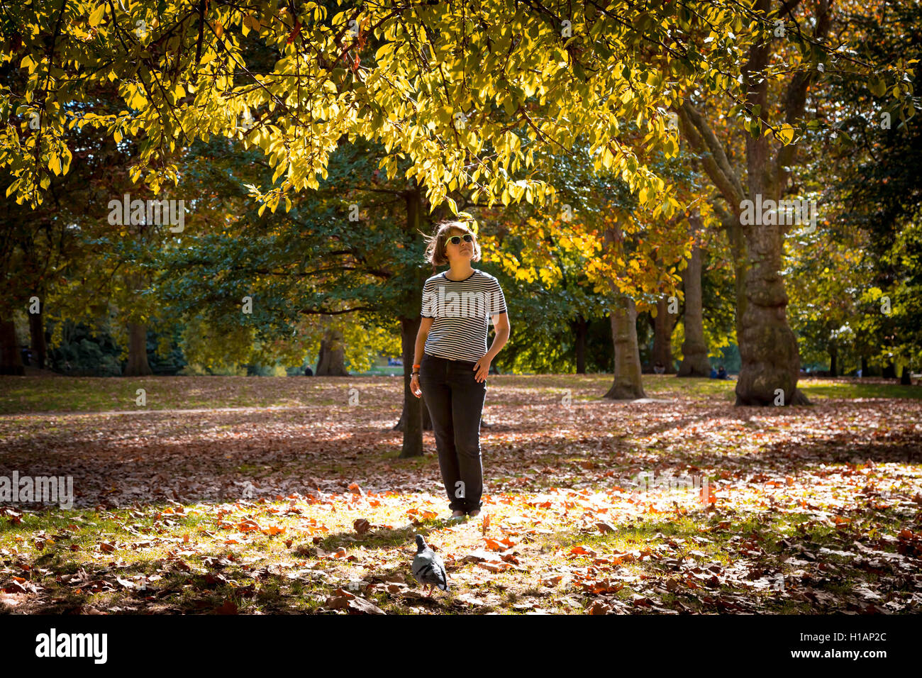September uk leaves weather hi-res stock photography and images - Alamy
