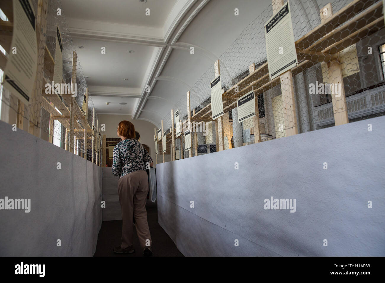 London, UK. 23rd Sep, 2016. An exhibition at Hinde Street Methodist ...