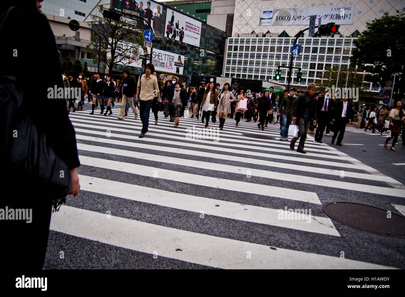 People cross a zebra crossing in the Shinjuku area of Tokyo, Japan ...