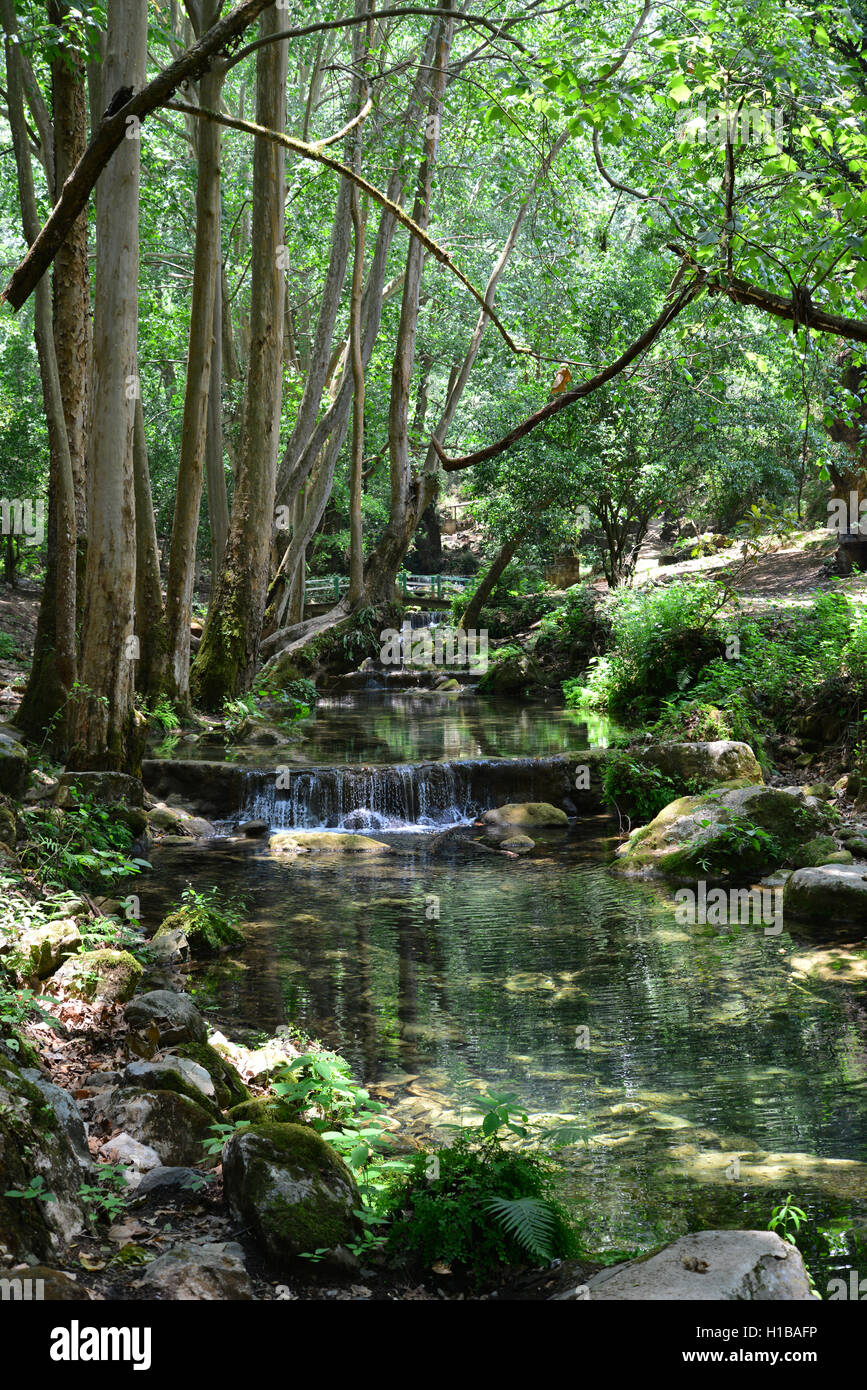 Mexico, Queretaro State, Sierra Gorda, Reserva de la Biosfera Stock ...