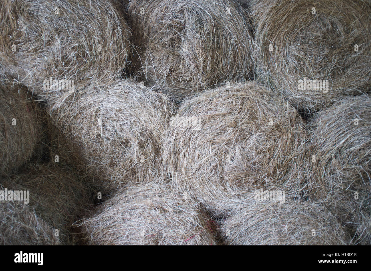 Bundles of grass hi-res stock photography and images - Alamy