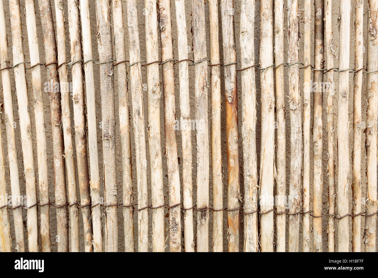 Reed and cane hi-res stock photography and images - Alamy