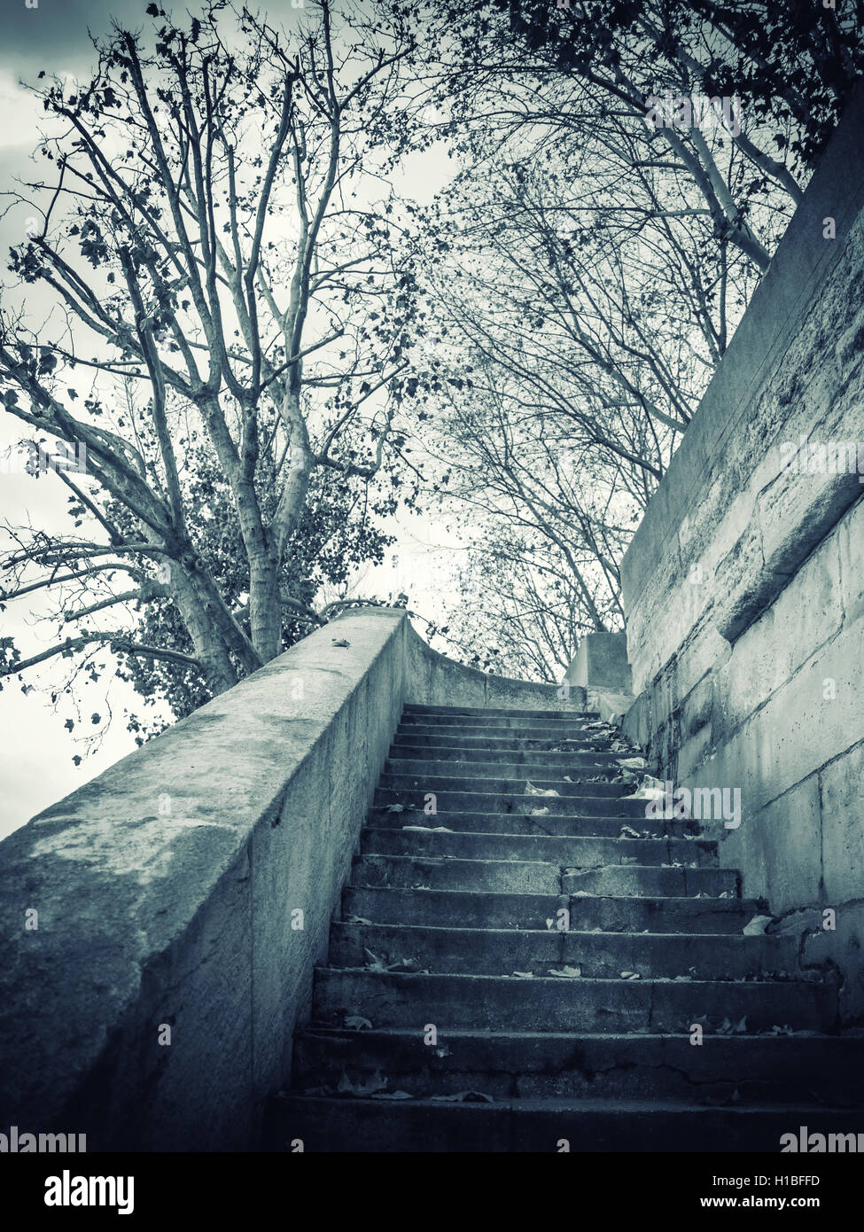 Stairs by the Seine river in Paris France Stock Photo - Alamy