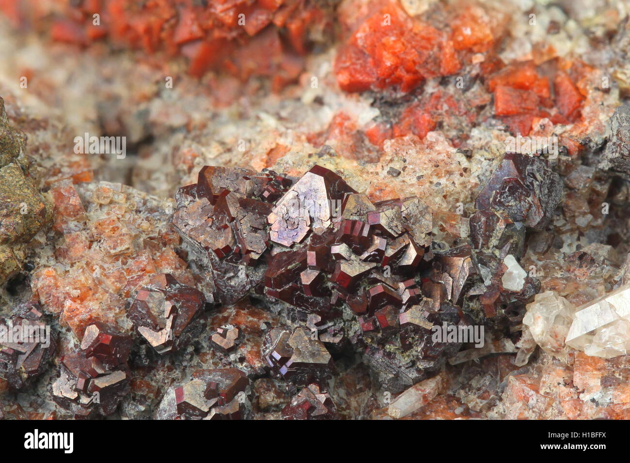 Pyramid shaped crystals of pyrite and reddish fluorite Stock Photo - Alamy