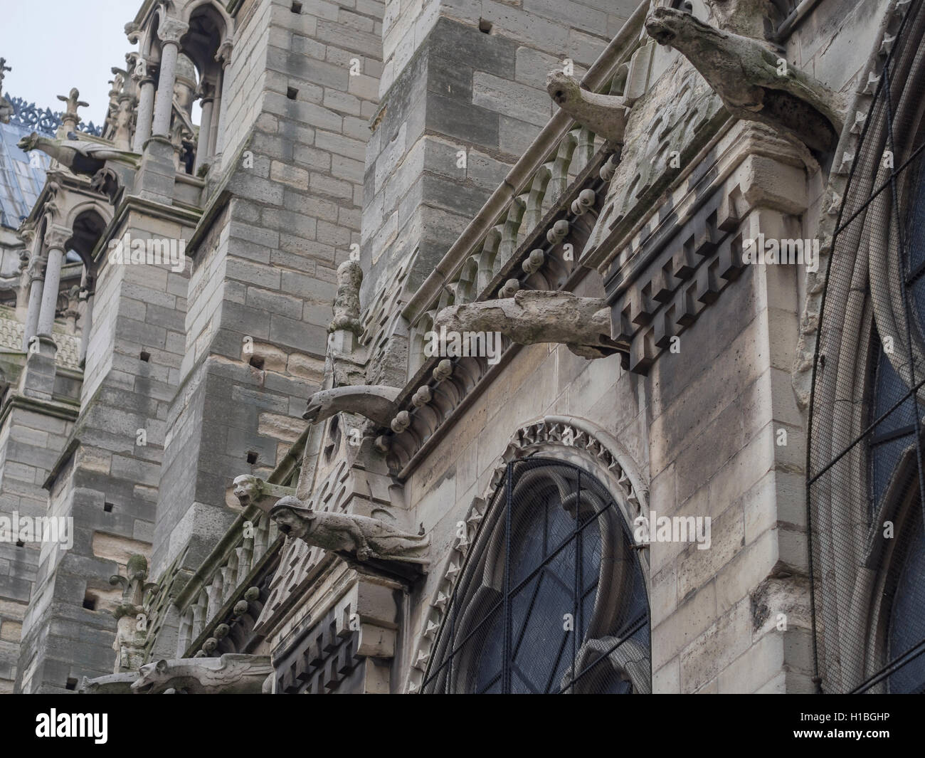 Notre Dame de Paris Cathedral, France Stock Photo - Alamy