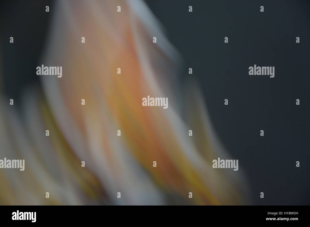 A Light Painting. A wallpaper for mobile phones, computers or even as a ...