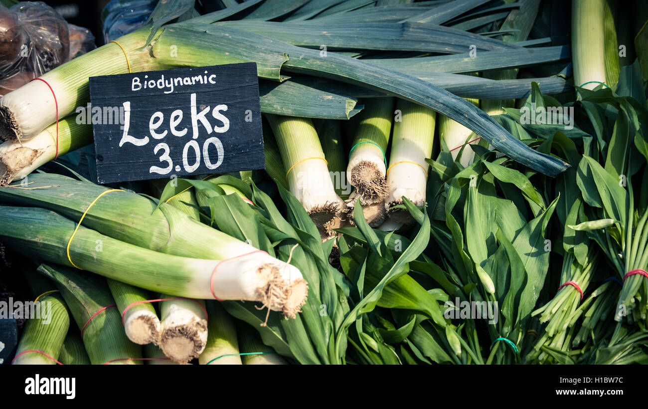 Leek cultivation hi-res stock photography and images - Alamy