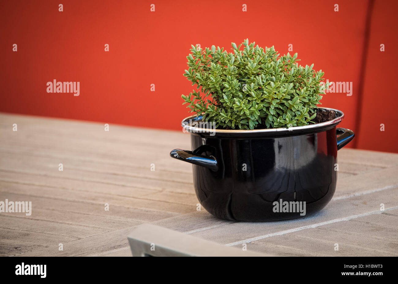 Lonely plant hi-res stock photography and images - Alamy