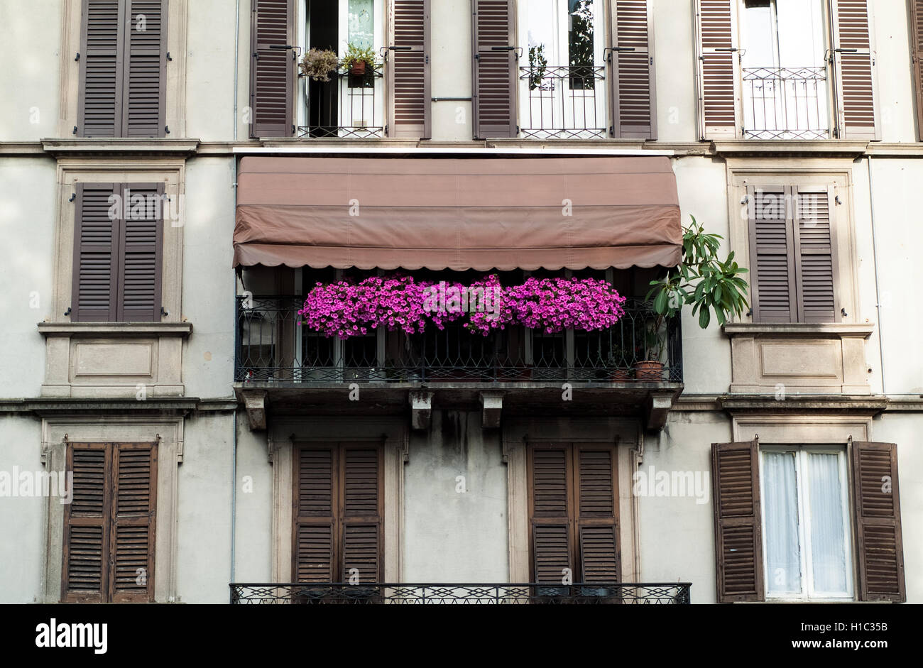 photo of a traditional Italian balcony decorated with plants and ...