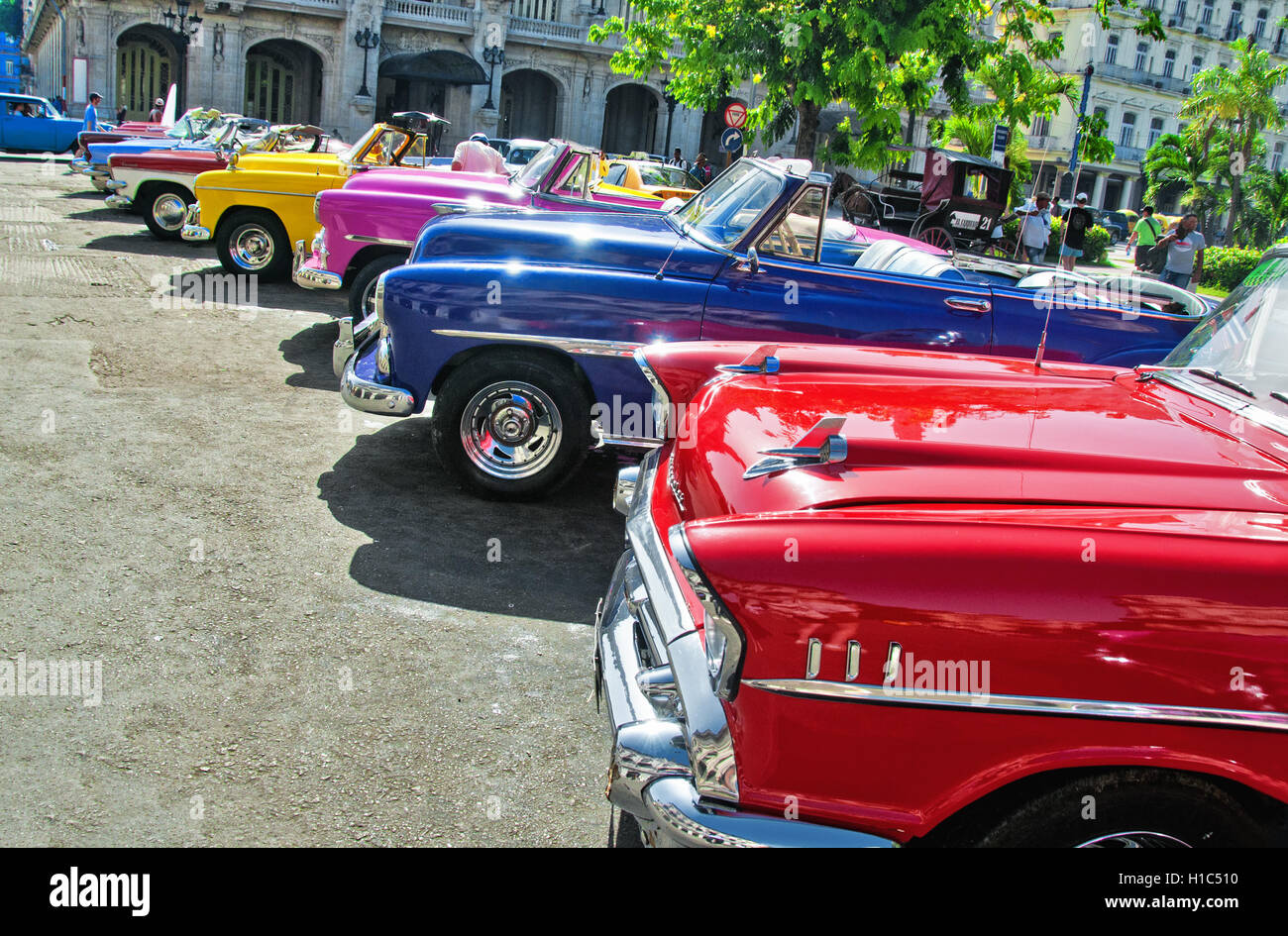 HAVANA, CUBA - JULY 8, 2016. Colorful vintage classic American cars ...