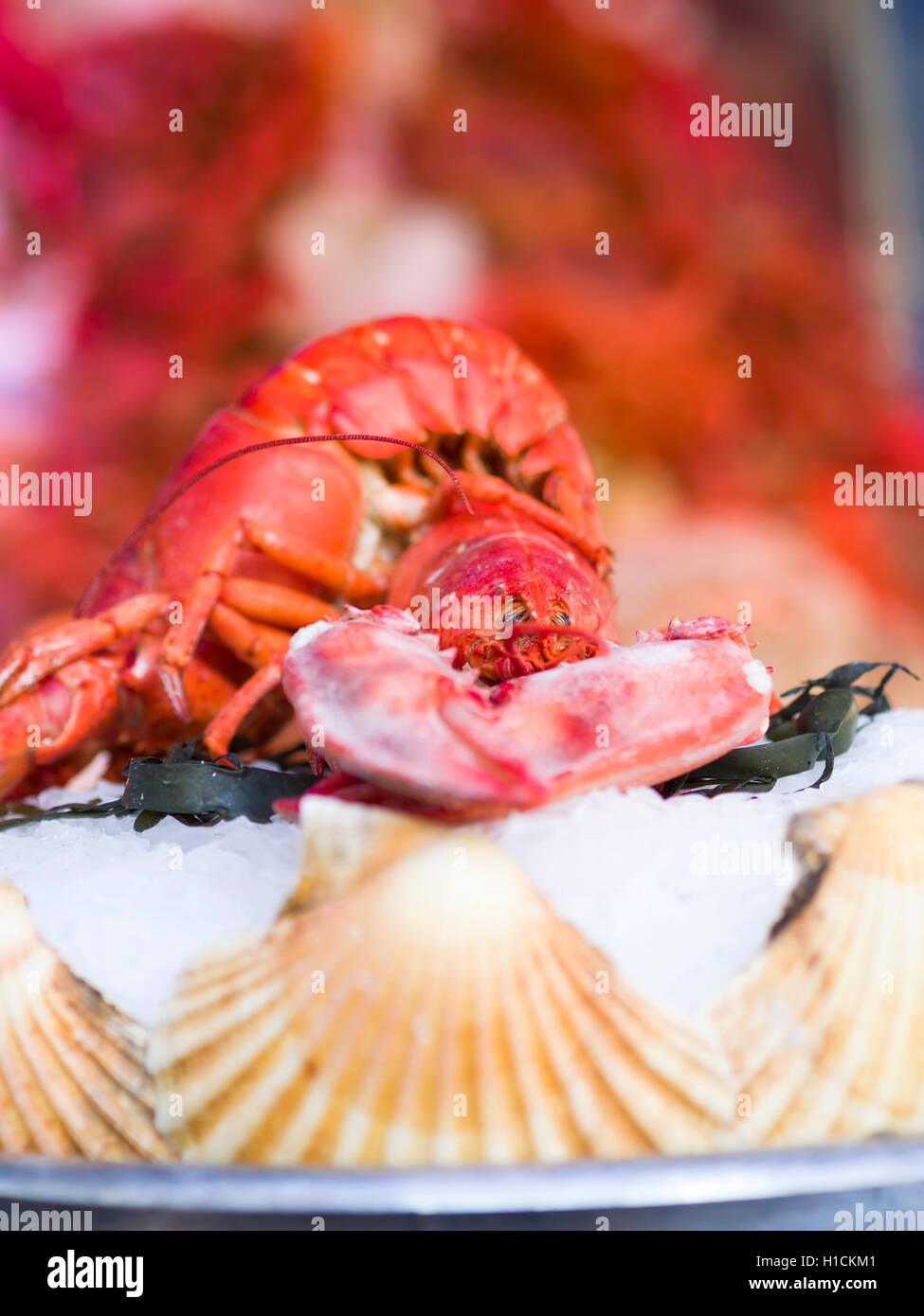 Fresh seafood in fish market in Paris France - food background Stock ...