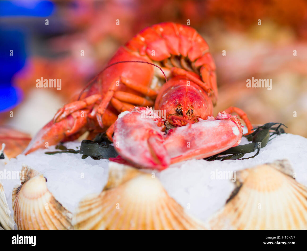 Fresh seafood in fish market in Paris France - food background Stock ...