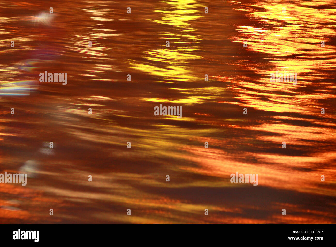 Image to vector art hi-res stock photography and images - Alamy