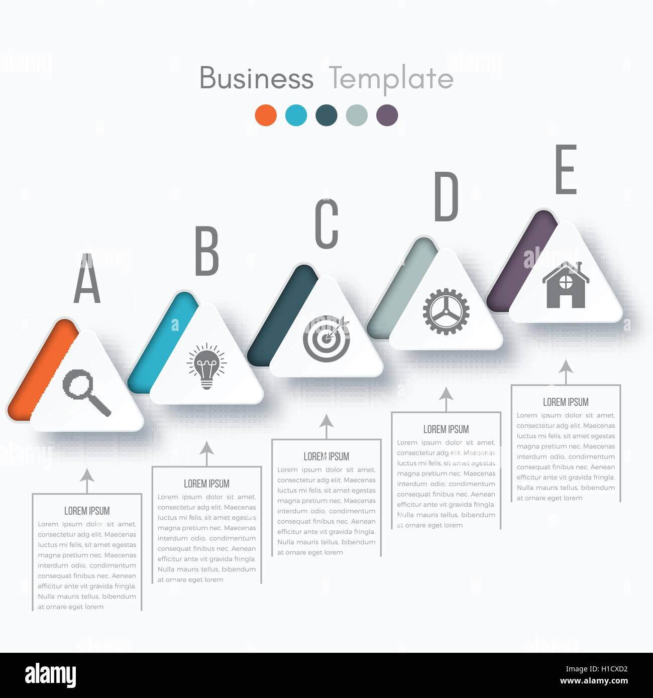 Vector Illustration Infographic Stock Vector Image And Art Alamy 