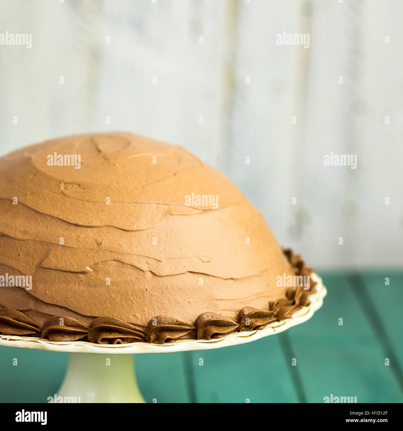 Chocolate coffee hazelnut half sphere cake with decorative piping on white cake stand white and ...