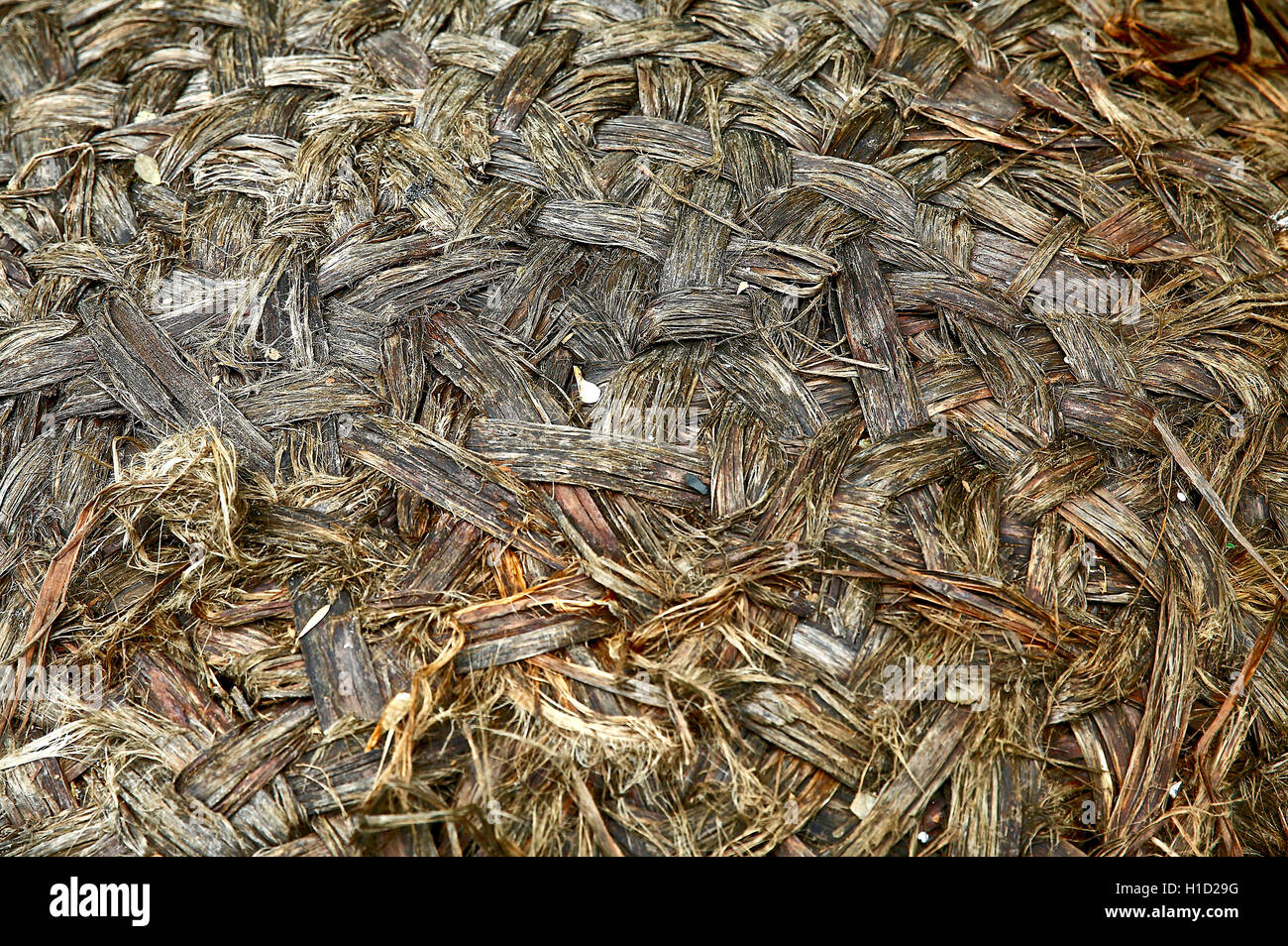 beautiful pattern periodic elements Stock Photo - Alamy