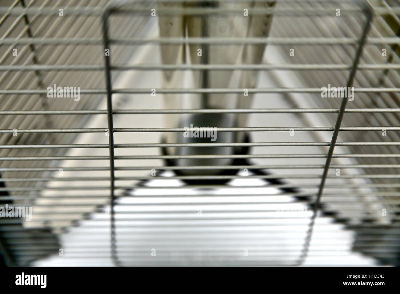 beautiful pattern periodic elements Stock Photo - Alamy