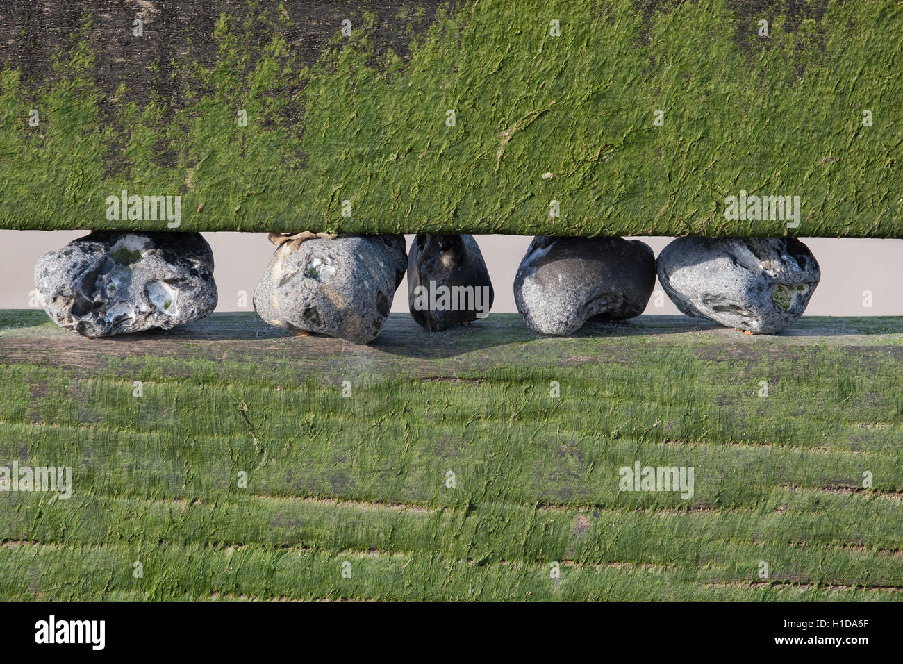 Cobbles wedged in between wooden groynes by the sea Stock Photo - Alamy